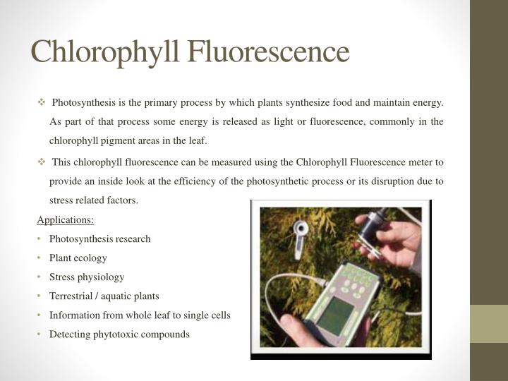 PPT - Chlorophyll fluorescence: A wonderful tool to study plant ...