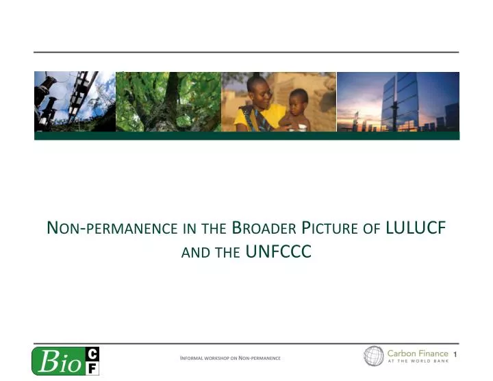 PPT - Non-permanence in the Broader Picture of LULUCF and the UNFCCC ...