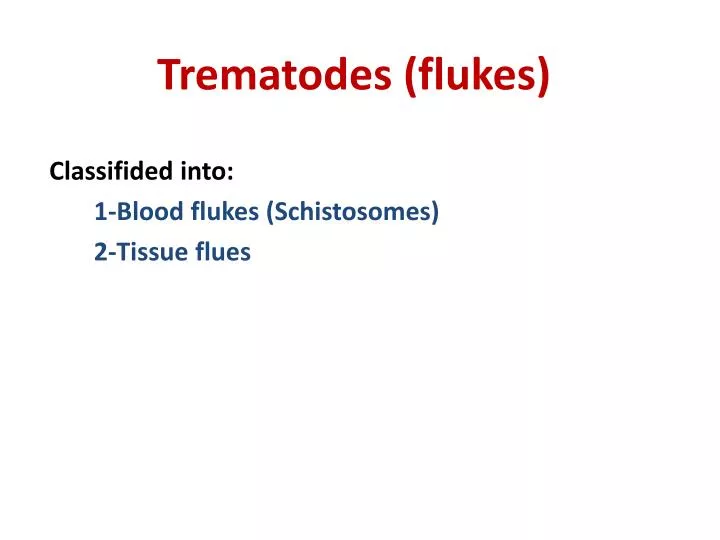 PPT - Trematodes (flukes) PowerPoint Presentation, free download - ID ...