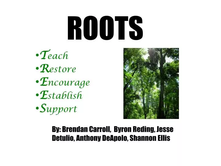 PPT - ROOTS PowerPoint Presentation, free download - ID:1885852