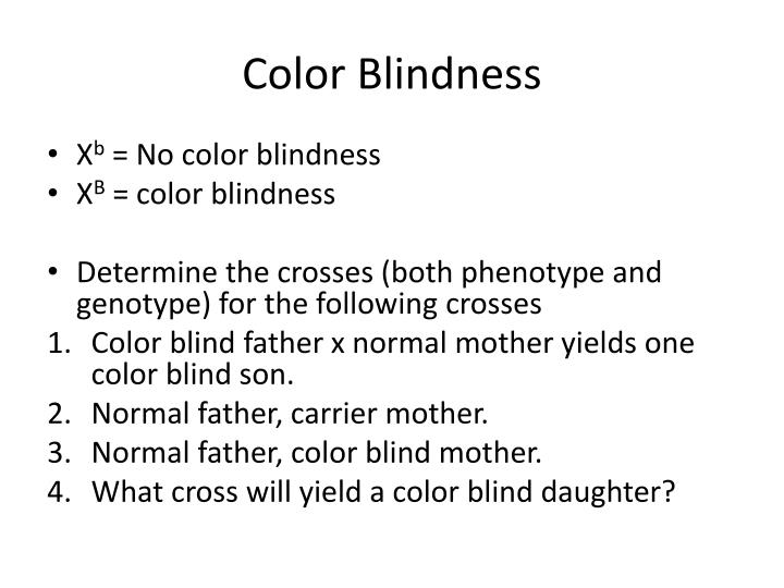 PPT - The Chromosomal Basis of Inheritance PowerPoint Presentation - ID ...