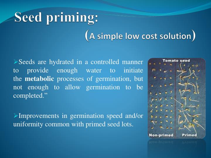 PPT - Seed enhancement-Definition PowerPoint Presentation - ID:1886065