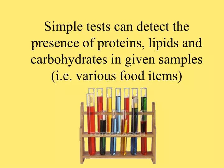 PPT - Testing for carbohydrates PowerPoint Presentation, free download ...