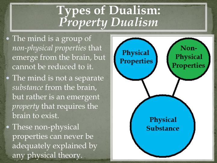 PPT - Philosophy of Mind: The Mind-Body Problem PowerPoint Presentation ...