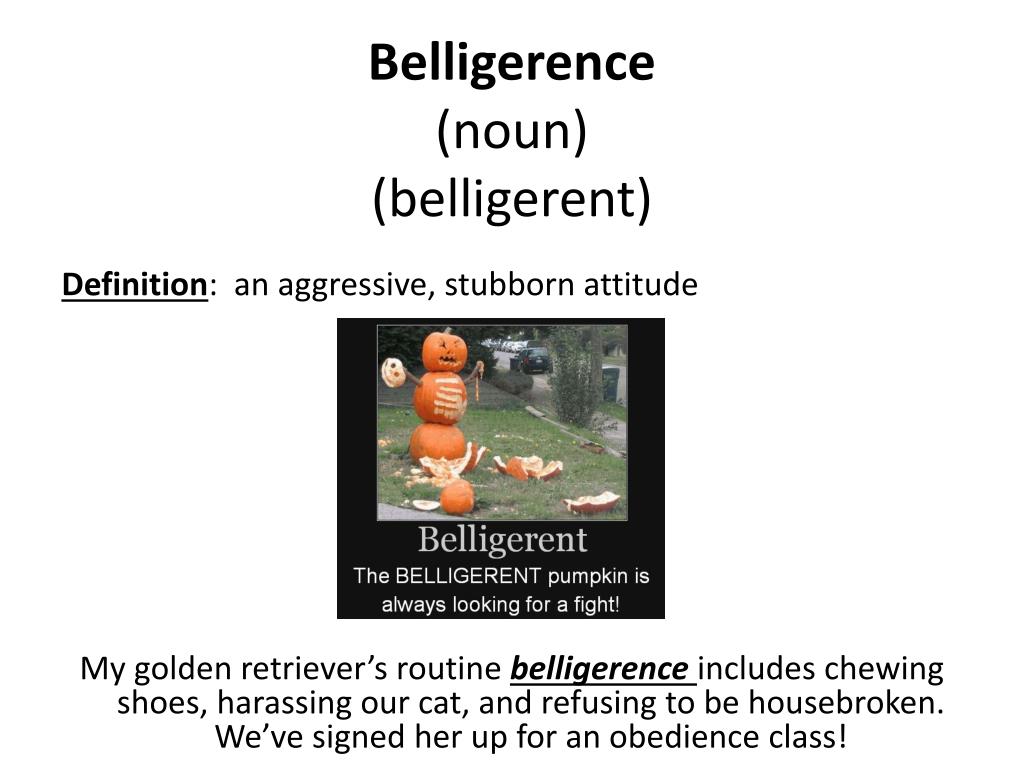 PPT - Lord of the Flies by William Golding BIG TEST VOCABULARY ...