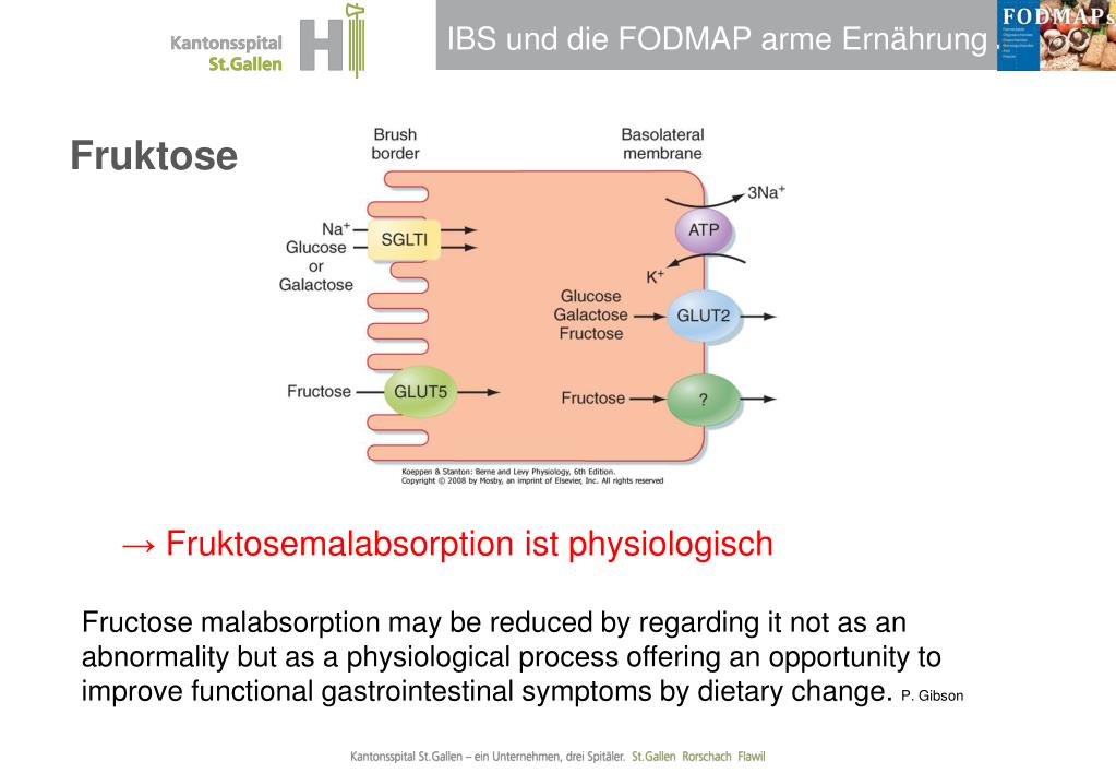 PPT - Reizdarm und die FODMAP arme Ernährung PowerPoint Presentation ...