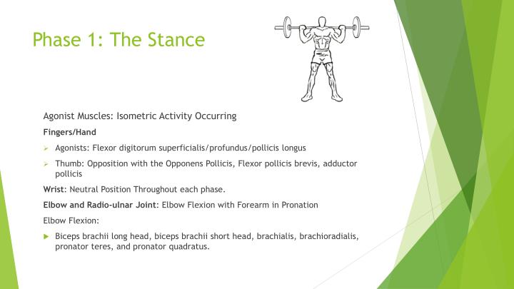 PPT - Barbell Squat (Wide Stance) Movement Analysis PowerPoint ...