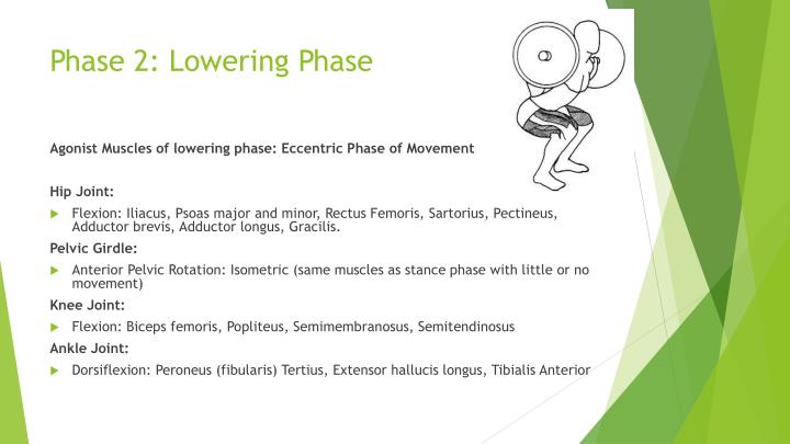 PPT - Barbell Squat (Wide Stance) Movement Analysis PowerPoint ...