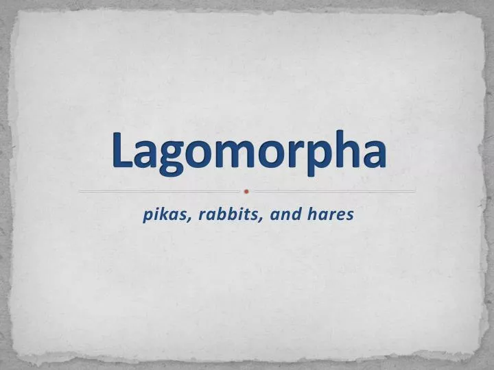 PPT - Lagomorpha PowerPoint Presentation, free download - ID:1887382