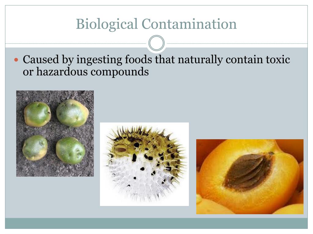 PPT - Consumers: Food and Nutrition Contamination PowerPoint ...