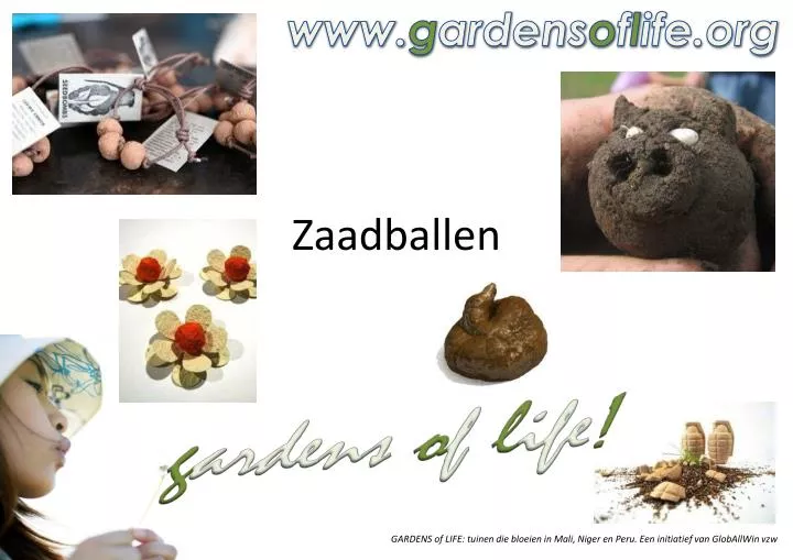 PPT - Zaadballen PowerPoint Presentation, free download - ID:1887869