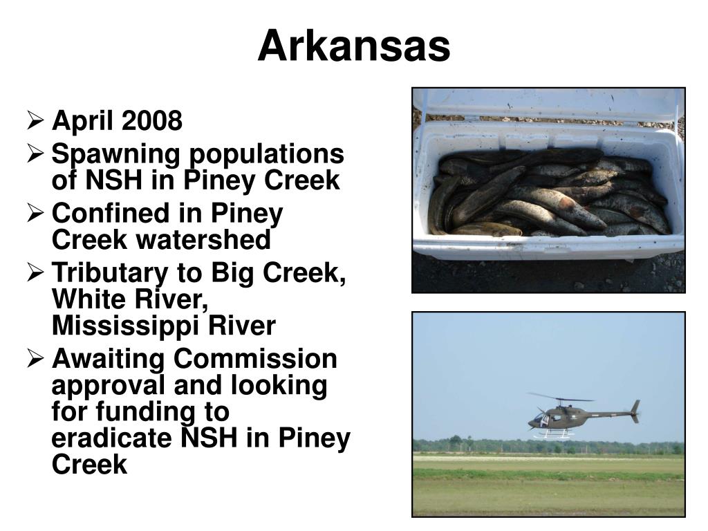 PPT - Distribution expansion of the invasive northern snakehead in the ...