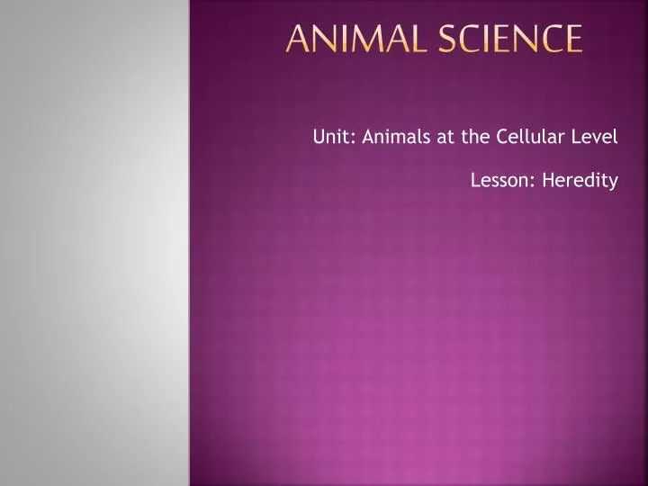 PPT - Animal Science PowerPoint Presentation, free download - ID:1888288