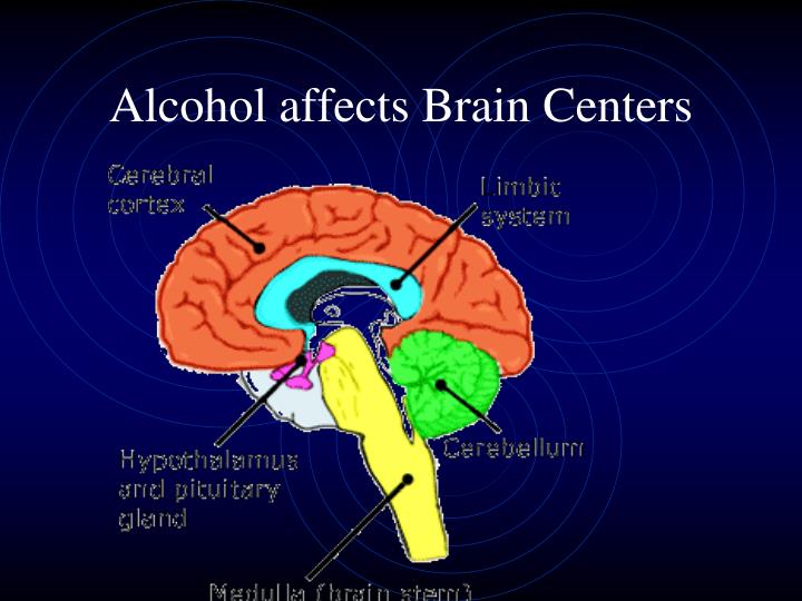 Ppt Alcohol Notes Powerpoint Presentation Id 1888388