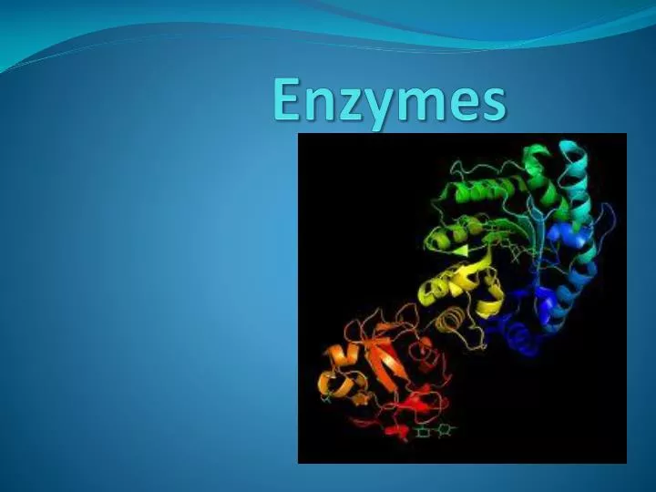 PPT - Enzymes PowerPoint Presentation, free download - ID:1888655