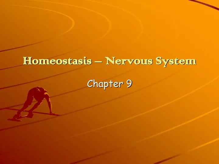 PPT - Homeostasis – Nervous System PowerPoint Presentation, free ...
