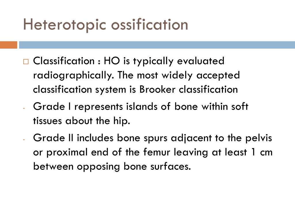 PPT - Effects of Nonsteroidal Anti-Inflammatory Drugs on Bone Formation ...