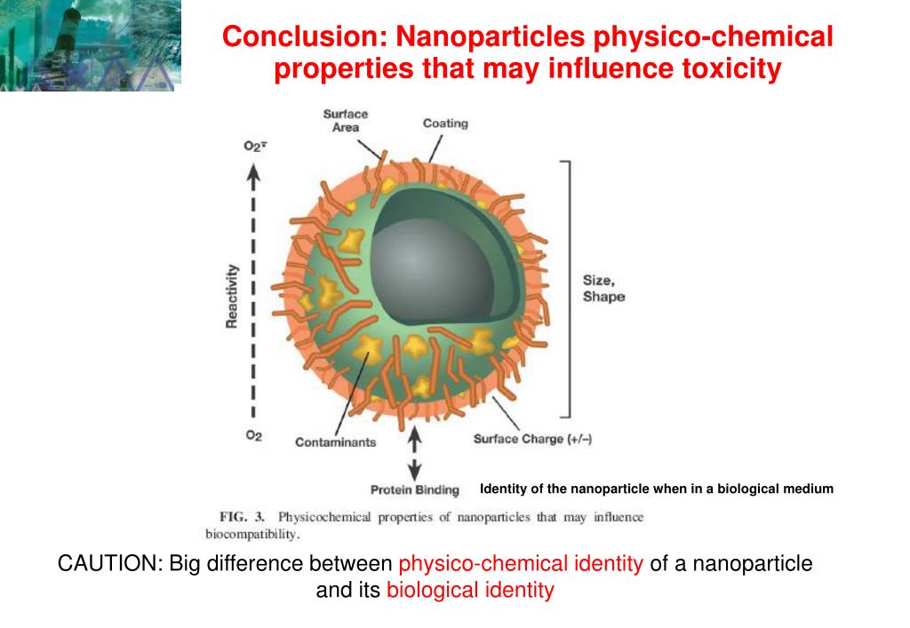 PPT - Toxicity and risks for human health of nanomaterials Anne Braun ...