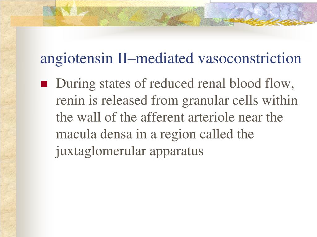 PPT - Physiology of kidneys Dr.boshra hasanzamani PowerPoint ...