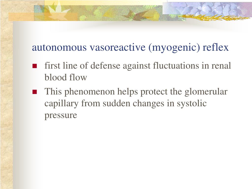 PPT - Physiology of kidneys Dr.boshra hasanzamani PowerPoint ...