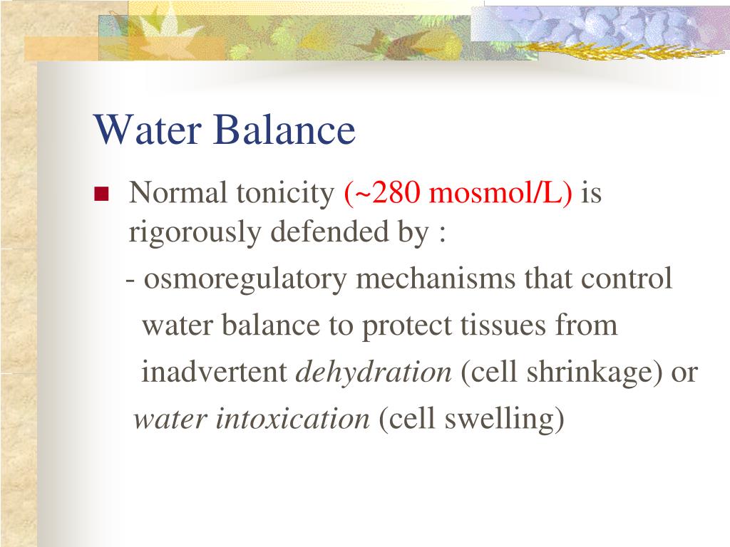 PPT - Physiology of kidneys Dr.boshra hasanzamani PowerPoint ...