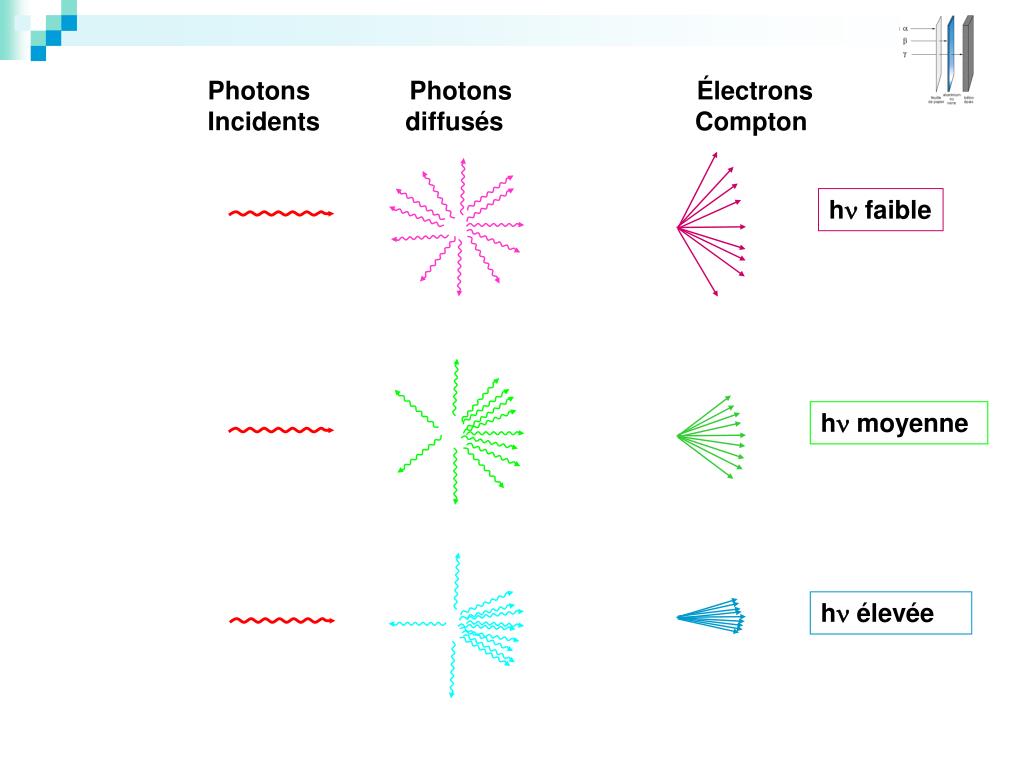 PPT - Éléments de Biophysique des Radiations Ionisantes PowerPoint ...