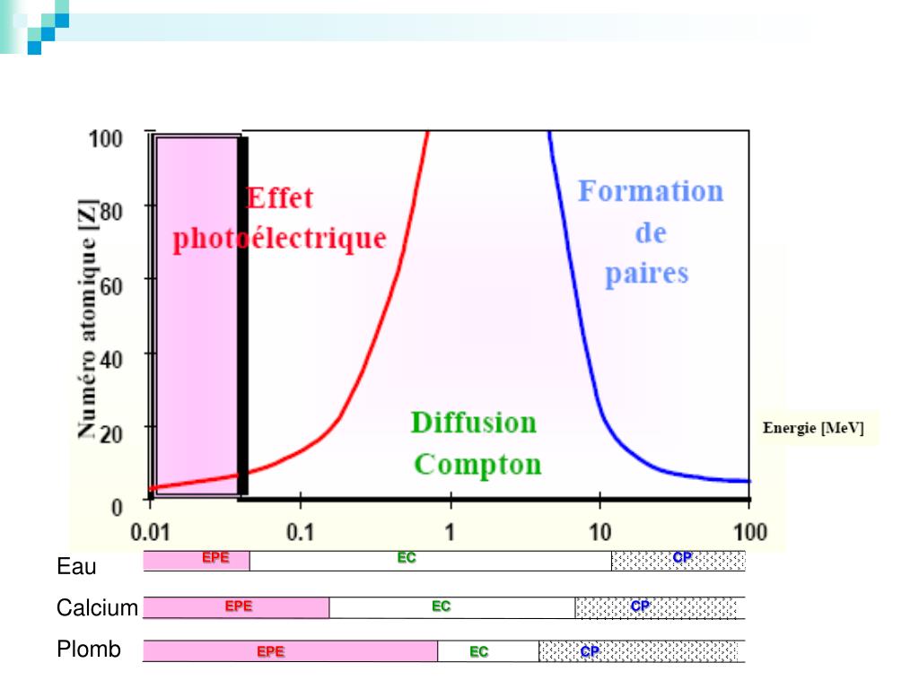 PPT - Éléments de Biophysique des Radiations Ionisantes PowerPoint ...