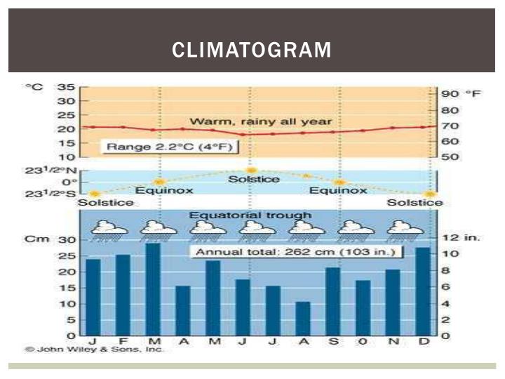 PPT - Tropical Rainforest PowerPoint Presentation - ID:1890947