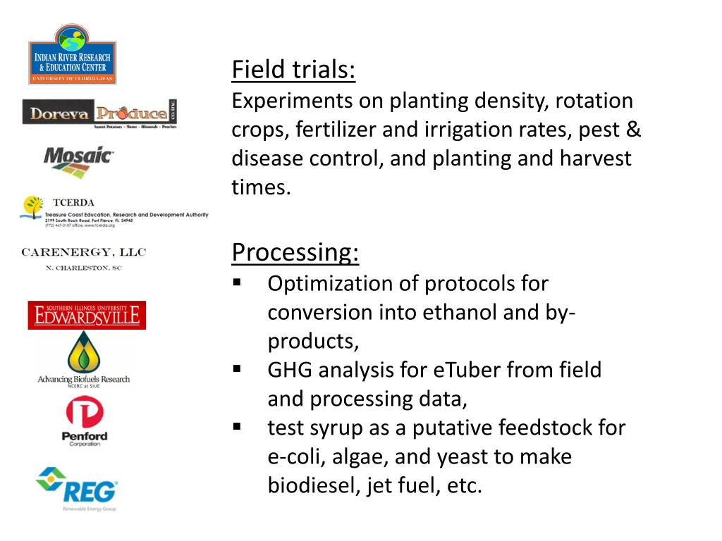 PPT - Evaluating eTuber and Energybeets as Feedstocks for Biofuels ...