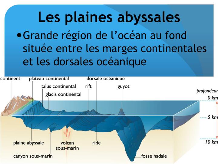 PPT - Les bassins océaniques PowerPoint Presentation - ID:1891459