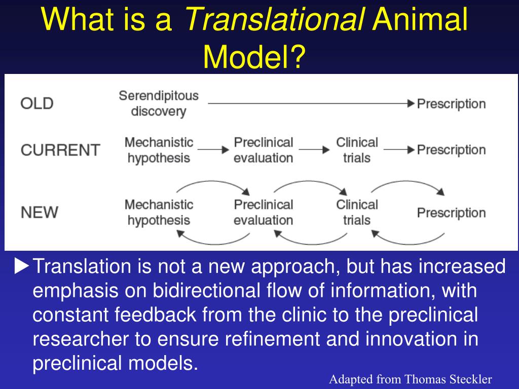 PPT - Developing Homologous Animal Models for the Discovery of ...