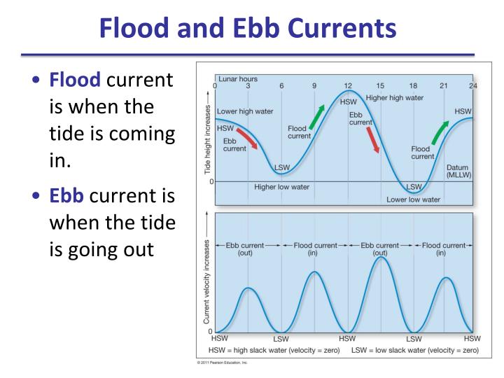 PPT - Unit 8 - Tides PowerPoint Presentation - ID:1893054