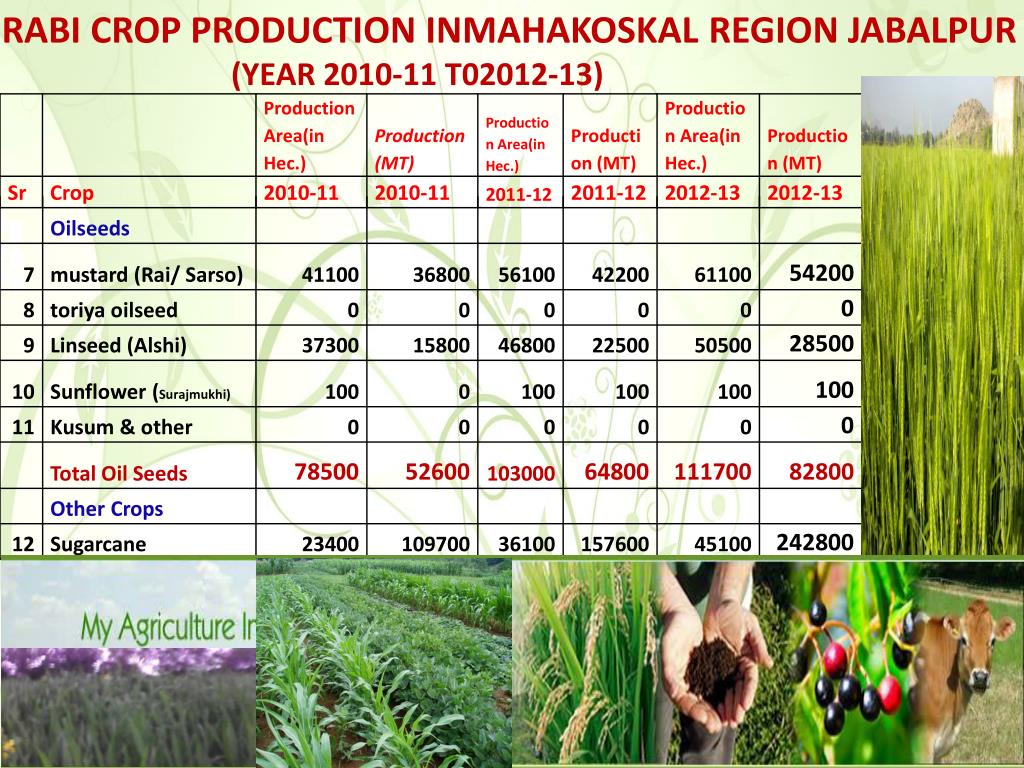 PPT - Industrial Scope & Opportunities a IN Mahakoshal Region, Jabalpur ...