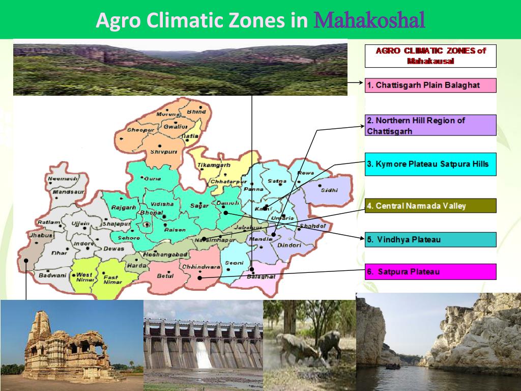 PPT - Industrial Scope & Opportunities a IN Mahakoshal Region, Jabalpur ...