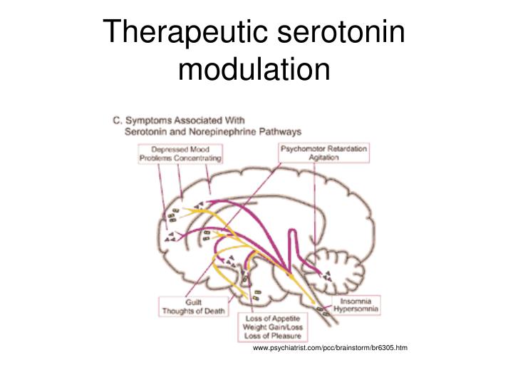 PPT - Neurotransmitters and Pharmacology PowerPoint Presentation - ID ...