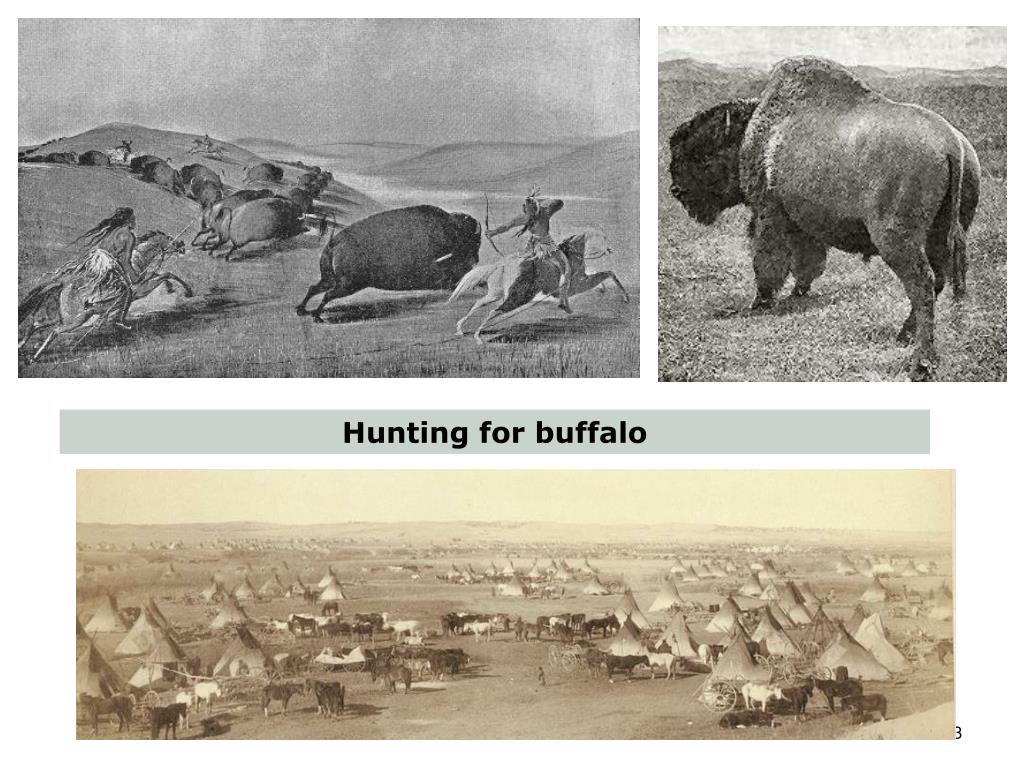 PPT - The West: Miners, Ranchers, Farmers, and Native Americans, 1865 ...