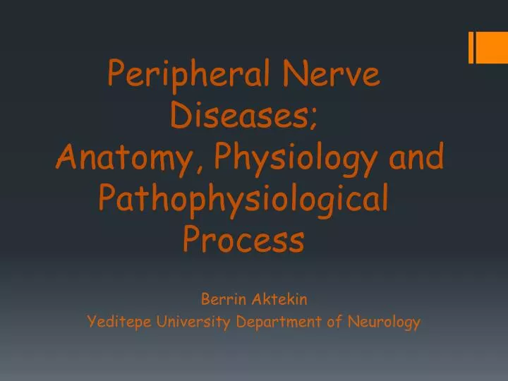 PPT - Peripheral Nerve Diseases; Anatomy, Physiology and ...
