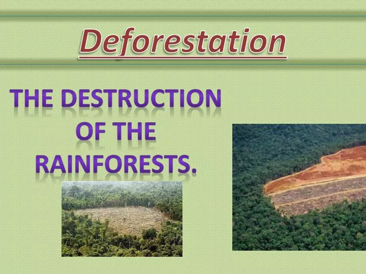 PPT - Deforestation PowerPoint Presentation, free download - ID:1893960