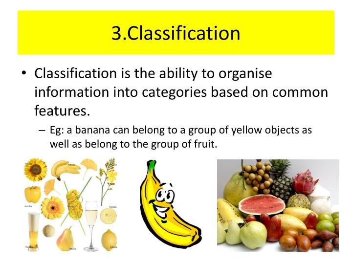 PPT - Piaget’s 4 Stage Theory on Cognitive Development PowerPoint ...