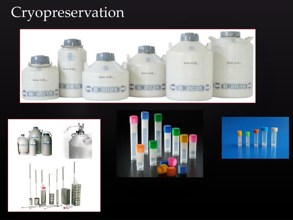 PPT - Cell Culture Facilities and Equipment PowerPoint Presentation ...