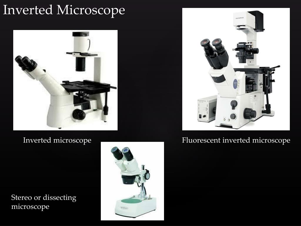 PPT - Cell Culture Facilities and Equipment PowerPoint Presentation ...