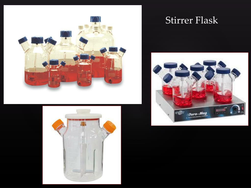 PPT - Cell Culture Facilities and Equipment PowerPoint Presentation ...