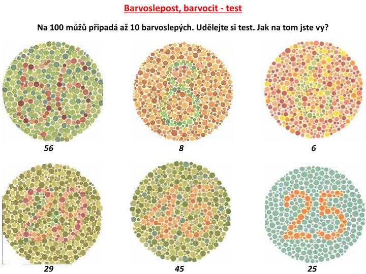 PPT - Klinefelterův syndrom PowerPoint Presentation - ID:1894496