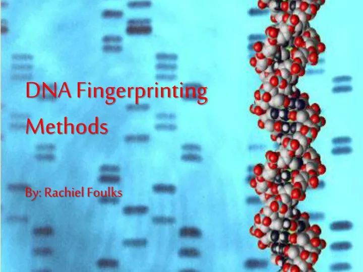PPT - DNA Fingerprinting Methods By: Rachiel Foulks PowerPoint ...