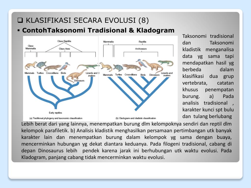 PPT - SEJARAH KLASIFIKASI ORGANISME PowerPoint Presentation, free ...