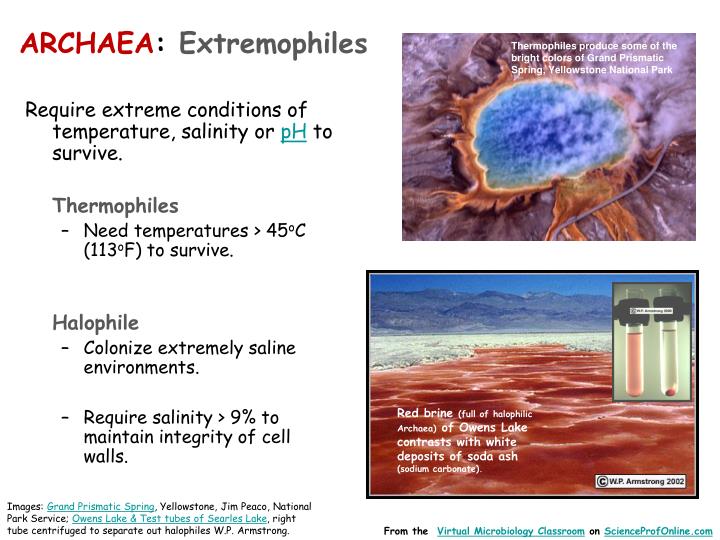 PPT - About Science Prof Online PowerPoint Resources PowerPoint ...