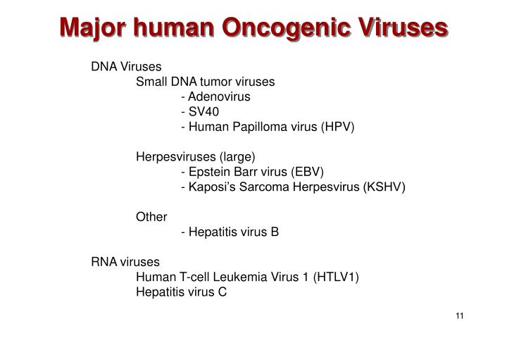 PPT - Viruses and Cancer PowerPoint Presentation - ID:1894895