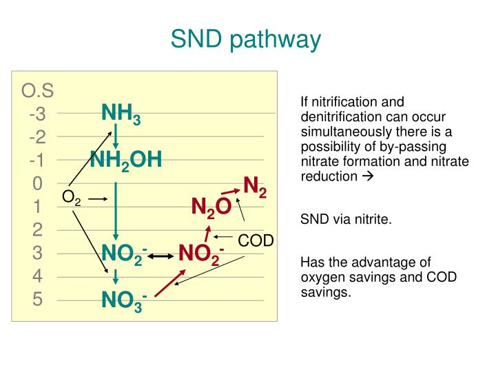 PPT - N removal Denitrification and Nitrification How is Den and Nit ...
