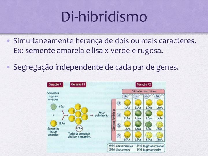 PPT - Genética PowerPoint Presentation - ID:1895576