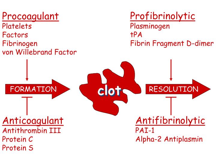 PPT - Blood Coagulation PowerPoint Presentation - ID:1895923
